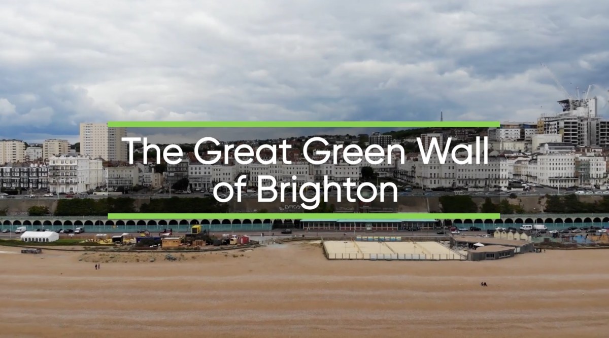 The Great Green Wall of Brighton – new film explores the role of nature ...